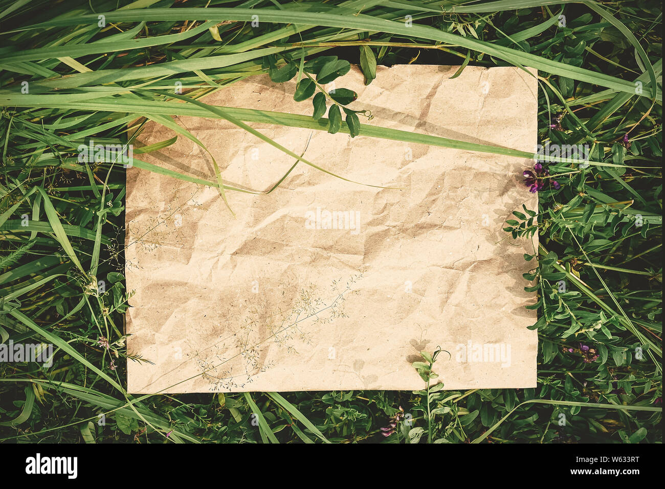 Plants background from craft paper in green natural grass. Ecological ...
