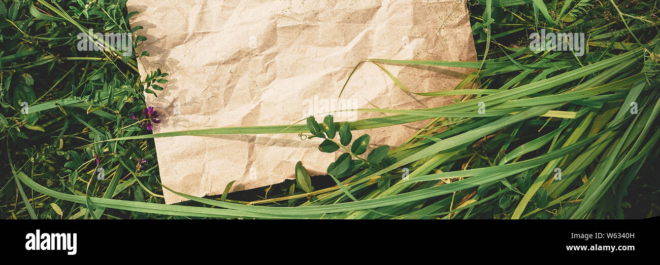 Creative natural background of plants and craft paper. Eco-friendly ...