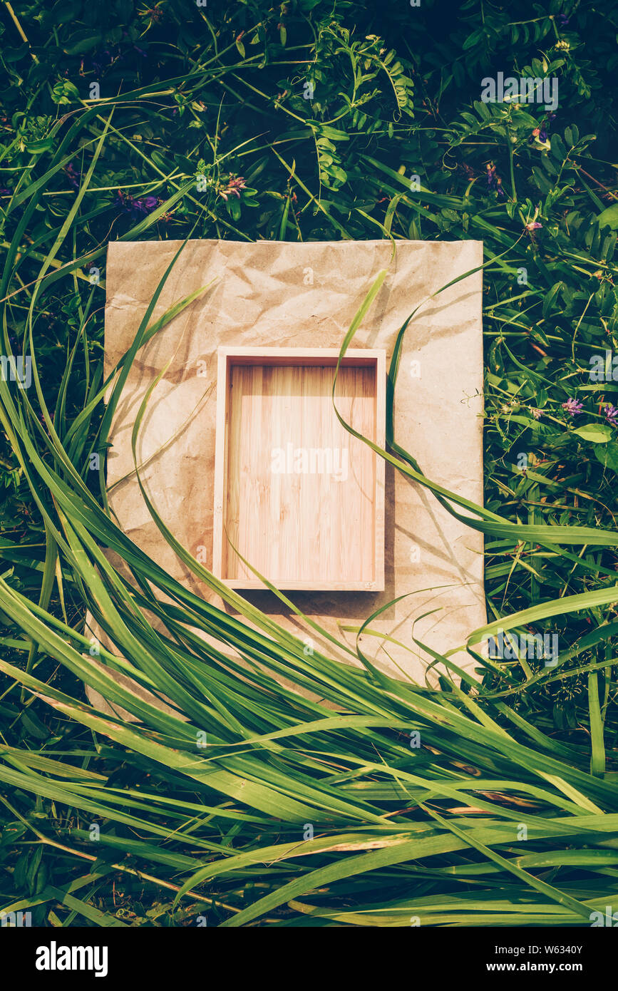 Creative background from plants, frame from kraft paper and box of wood ...