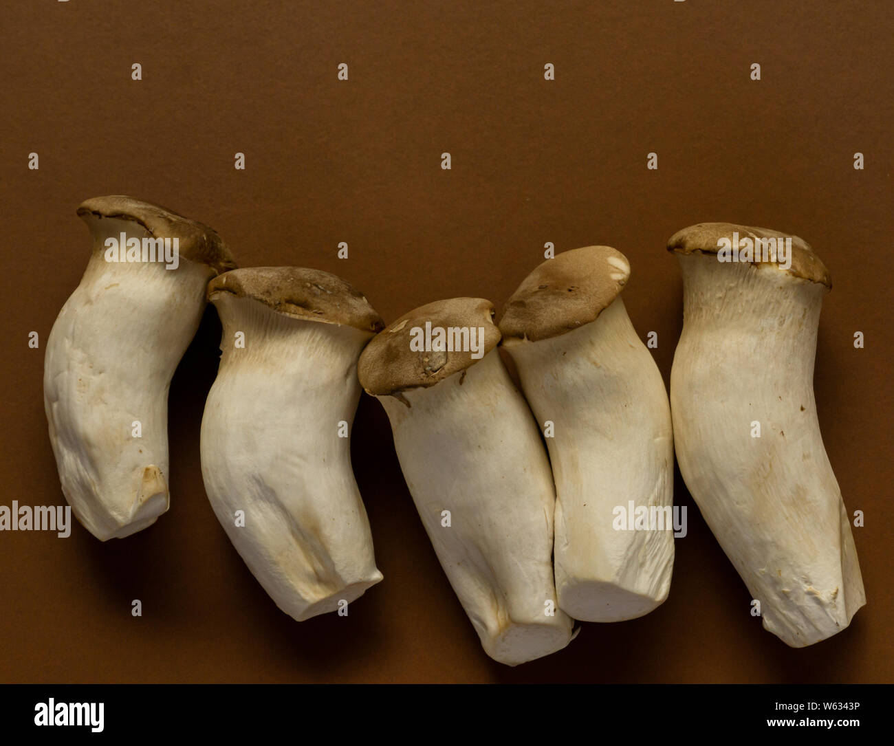 King oyster mushroom Pleurotus eryngii on brown background,Pleurotus ...