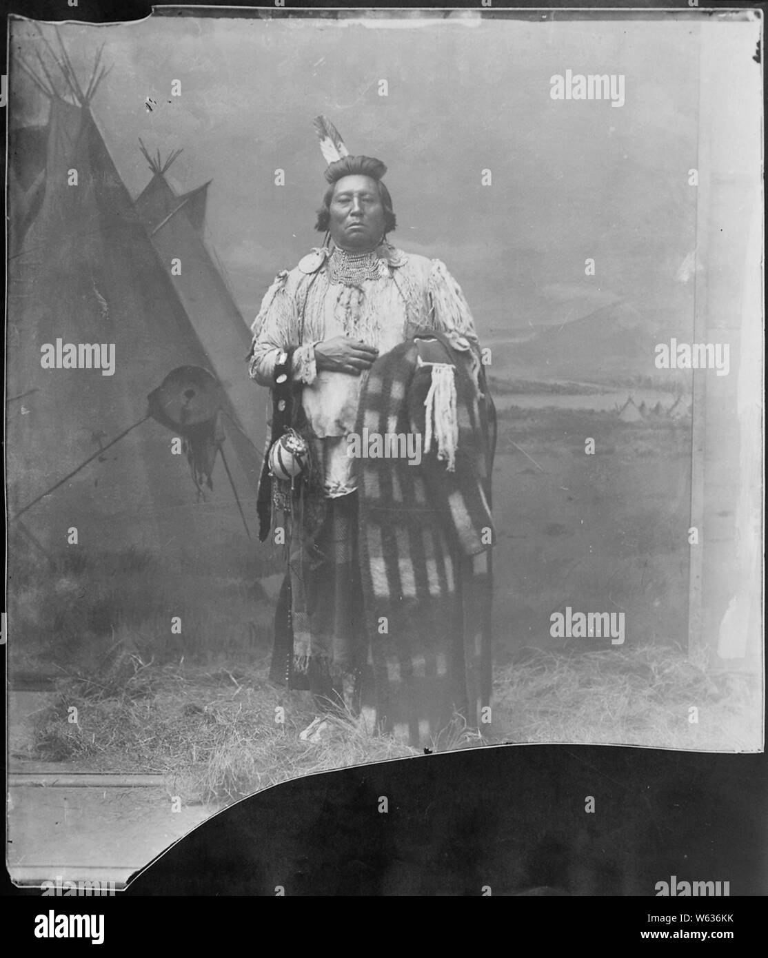 Chief wolf hi-res stock photography and images - Alamy