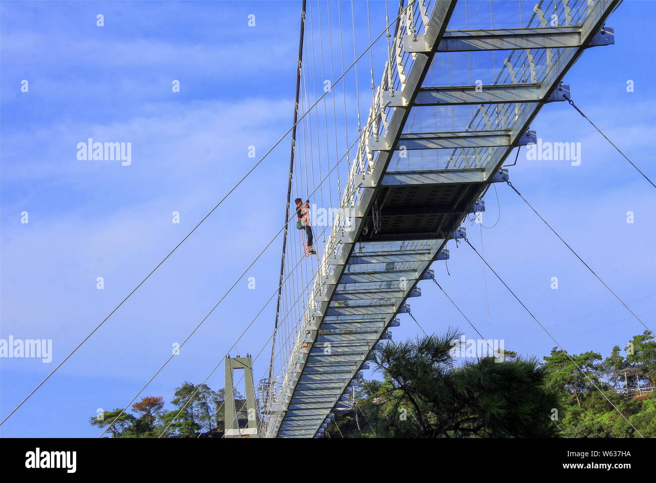 "Spider-Man" workers check on Guangdong's longest glass-bottomed bridge ...