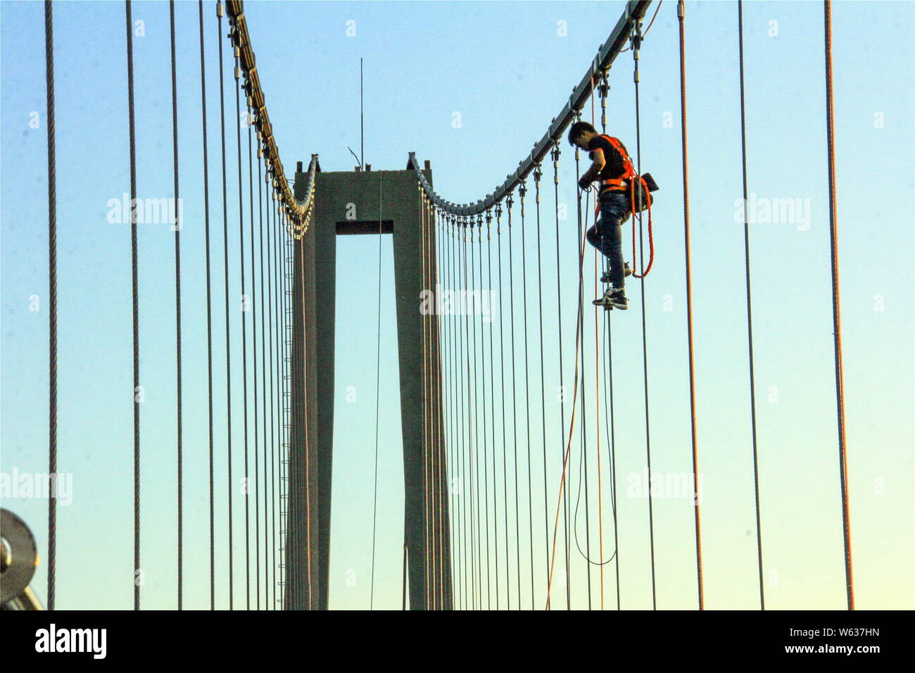 "Spider-Man" workers check on Guangdong's longest glass-bottomed bridge ...