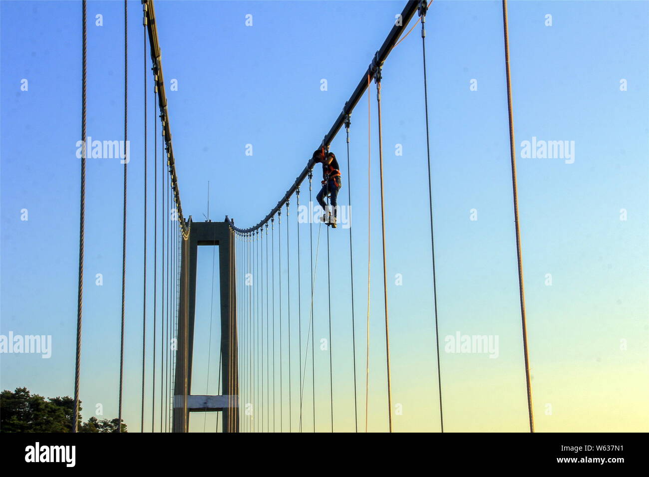 "Spider-Man" workers check on Guangdong's longest glass-bottomed bridge ...