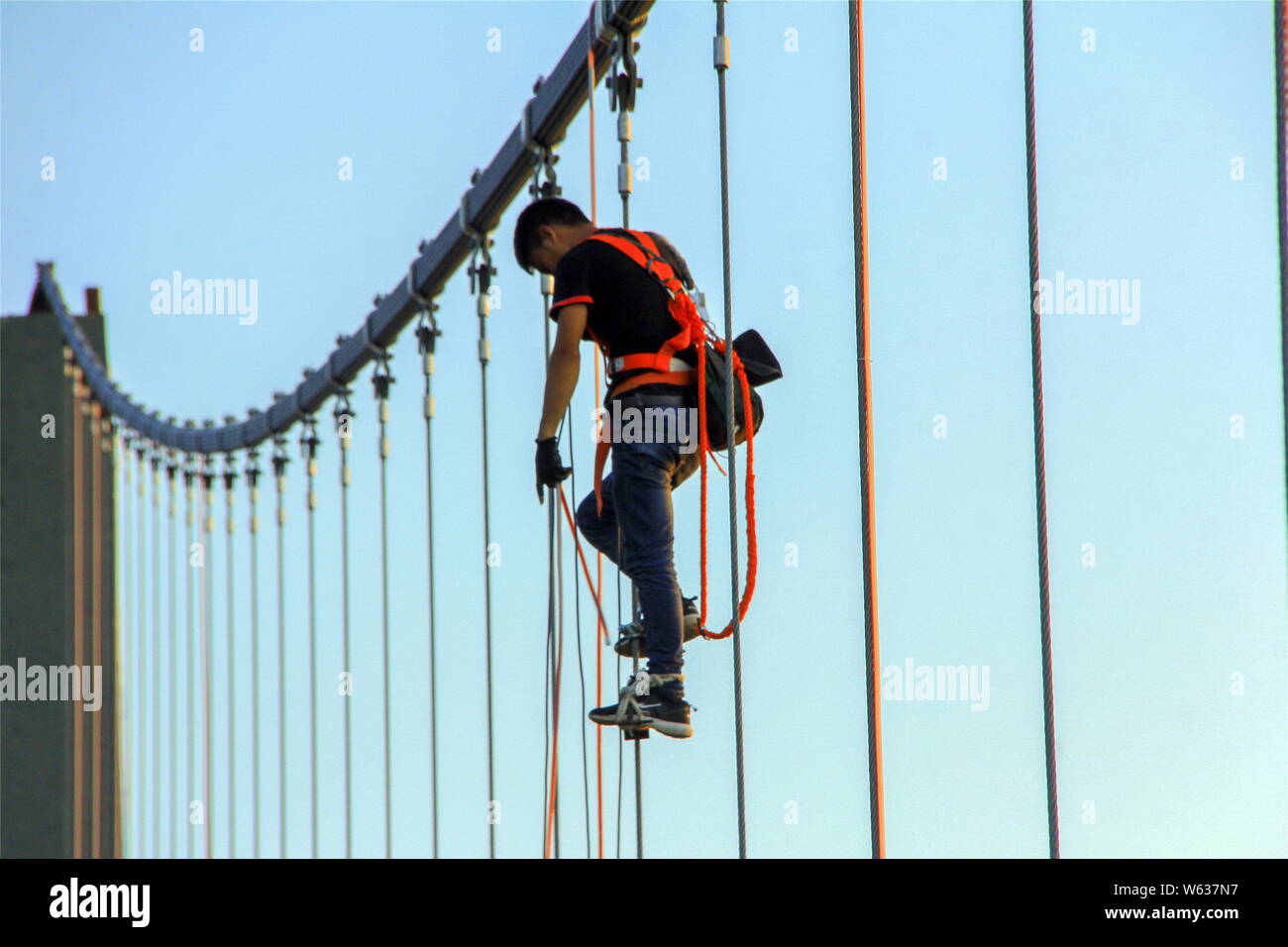 "Spider-Man" workers check on Guangdong's longest glass-bottomed bridge ...