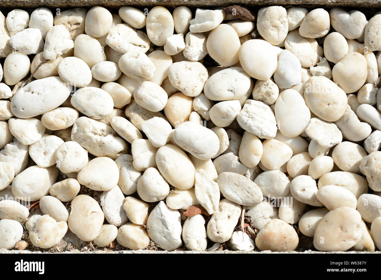 Small white pebbles close up. Natural abstract background Stock Photo ...