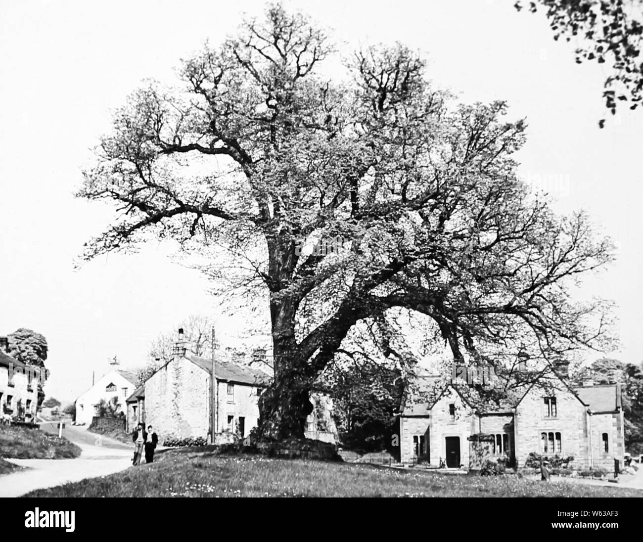 Wensley hi-res stock photography and images - Alamy