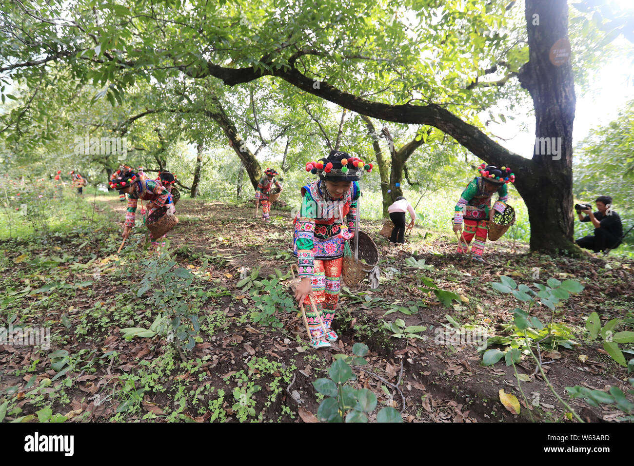Chinese women of Yi ethnic group dressed in traditional costumes and ...
