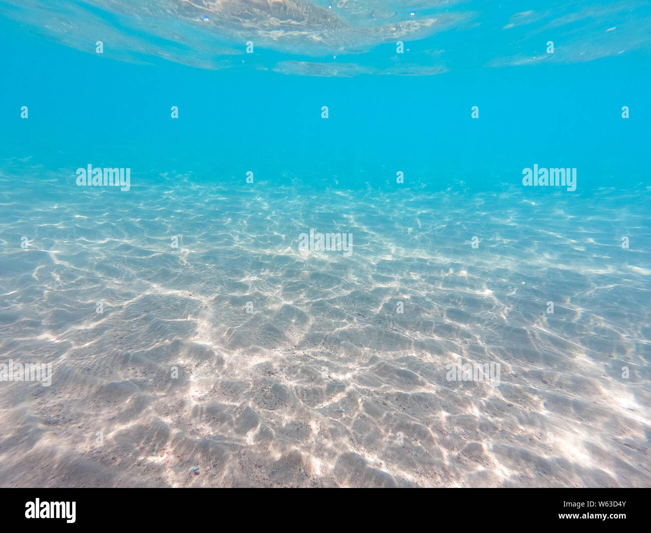 Ocean Underwater Texture