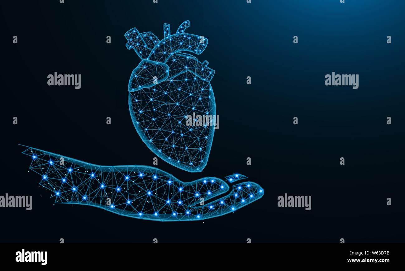 Human heart anatomy from healthy hi-res stock photography and images ...