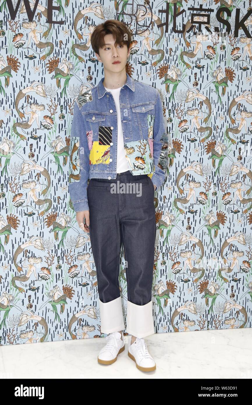 Chinese singer Fan Chengcheng, the younger brother of actress Fan ...