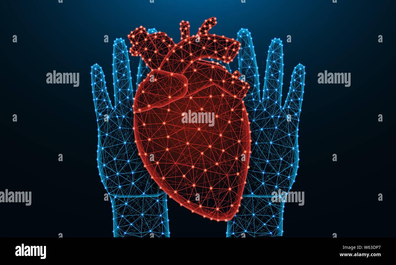 Hands and human heart low poly design, human organ in polygonal style ...