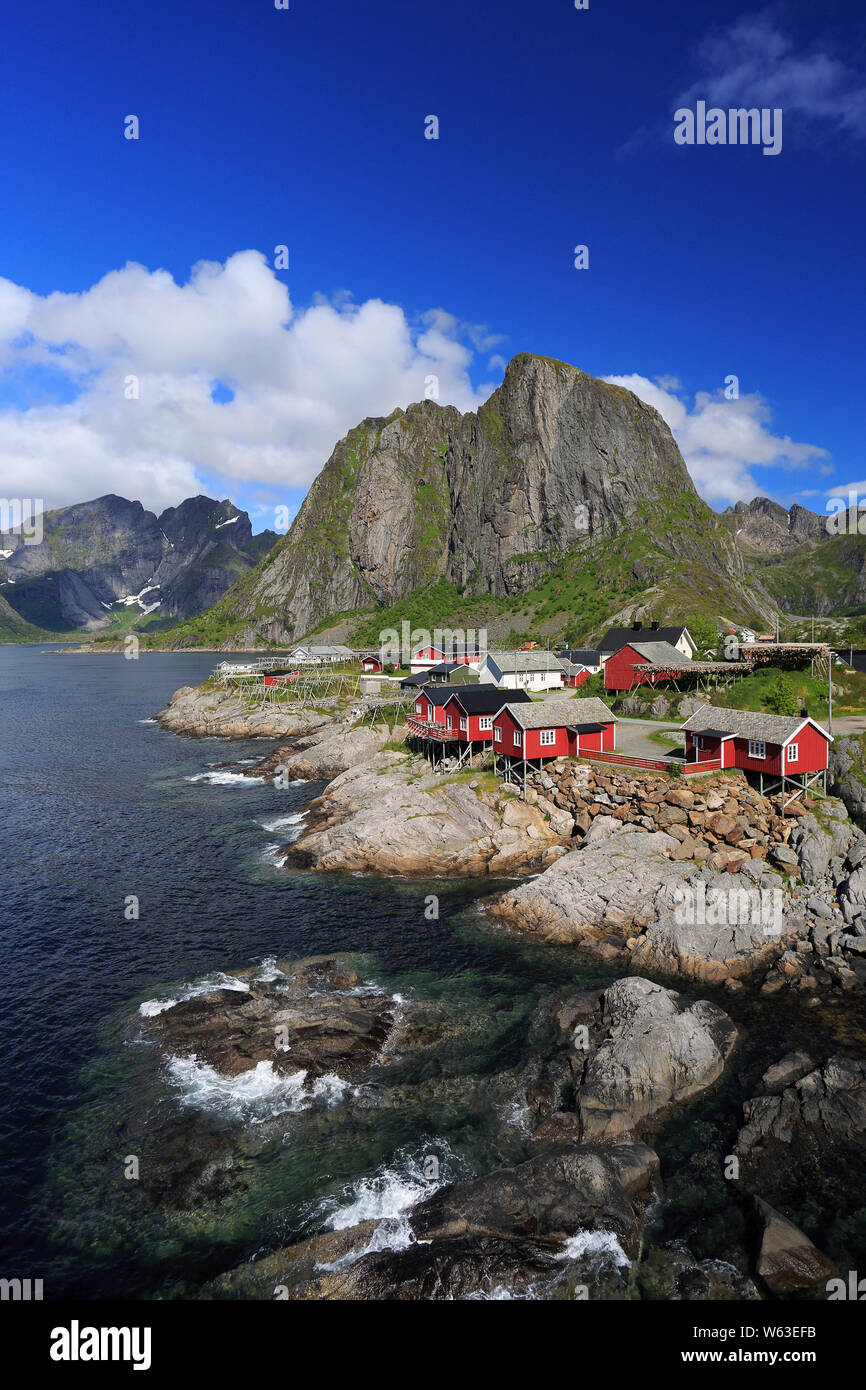 Traditional Norwegian red fishing cottages, huts, island Hamnøy, Reine ...