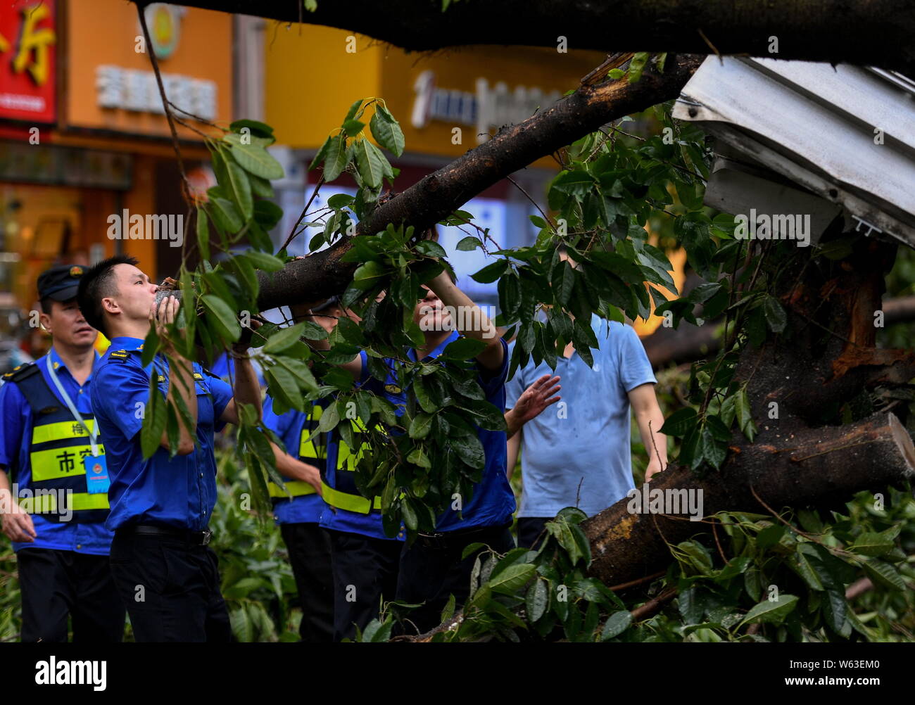 Chinese workers remove tree branches broken by strong wind caused by ...