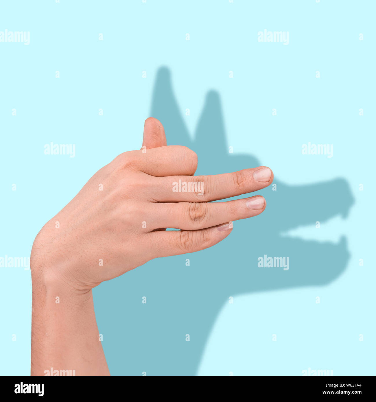 Expectation and reality. Shadow of the dog behind of the human hand on ...