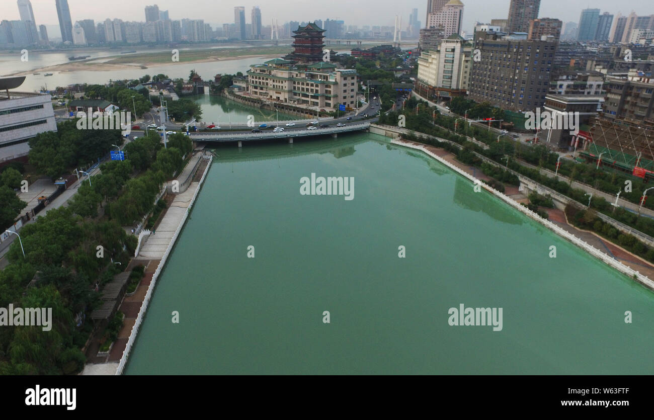 Aerial view of a river covered with blue-green algae in Nanchang city ...