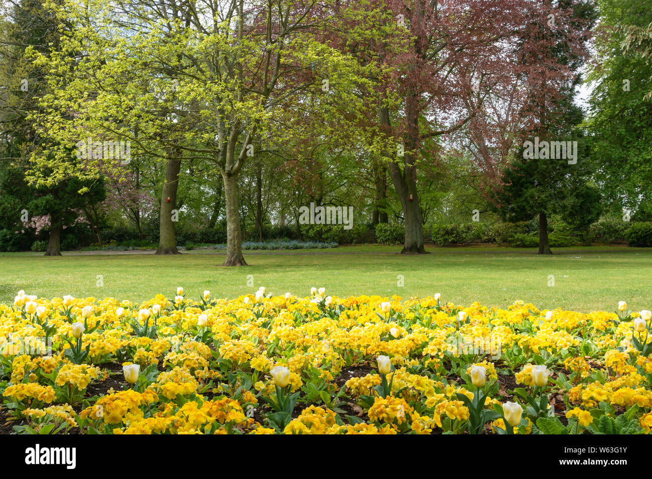 Border parkland hi-res stock photography and images - Alamy