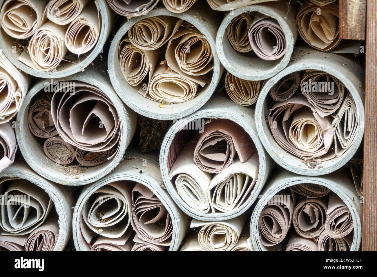 Bug hotels hi-res stock photography and images - Alamy
