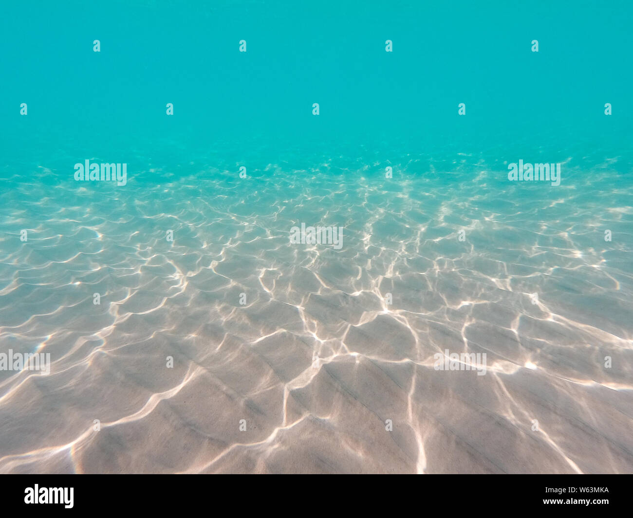 Underwater shallow sandy ocean floor hi-res stock photography and ...
