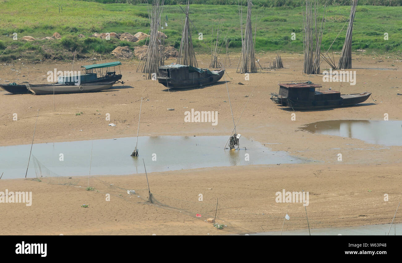 Fishing boats are stranded on the grass-covered riverbed of the Poyang ...