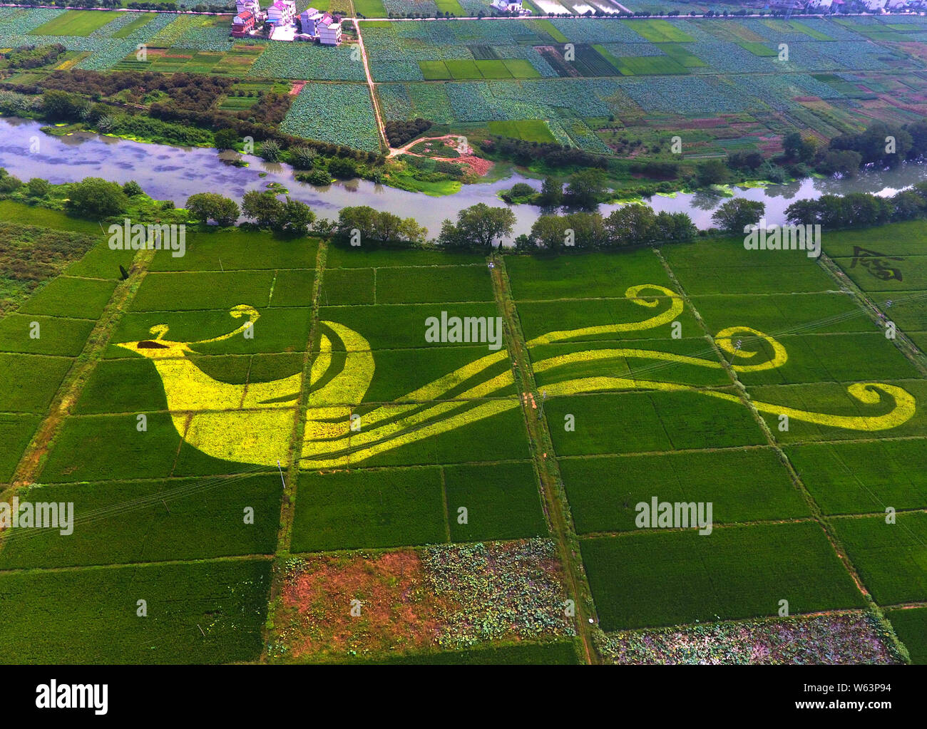 A 3D rice paddy painting of a phoenix is on display at a colourful ...