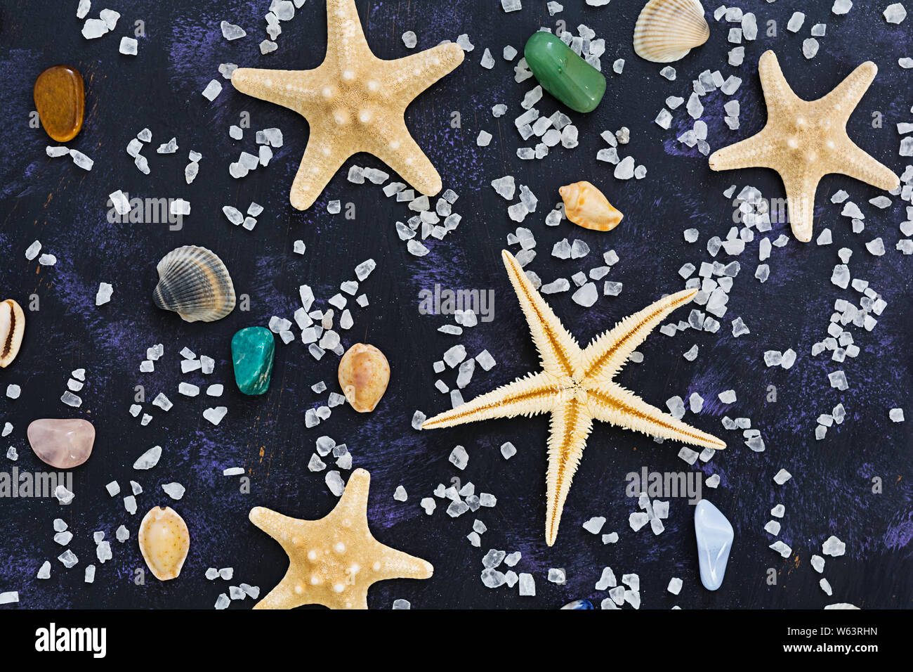 Seashell and starfish on dark background. Top view Stock Photo - Alamy