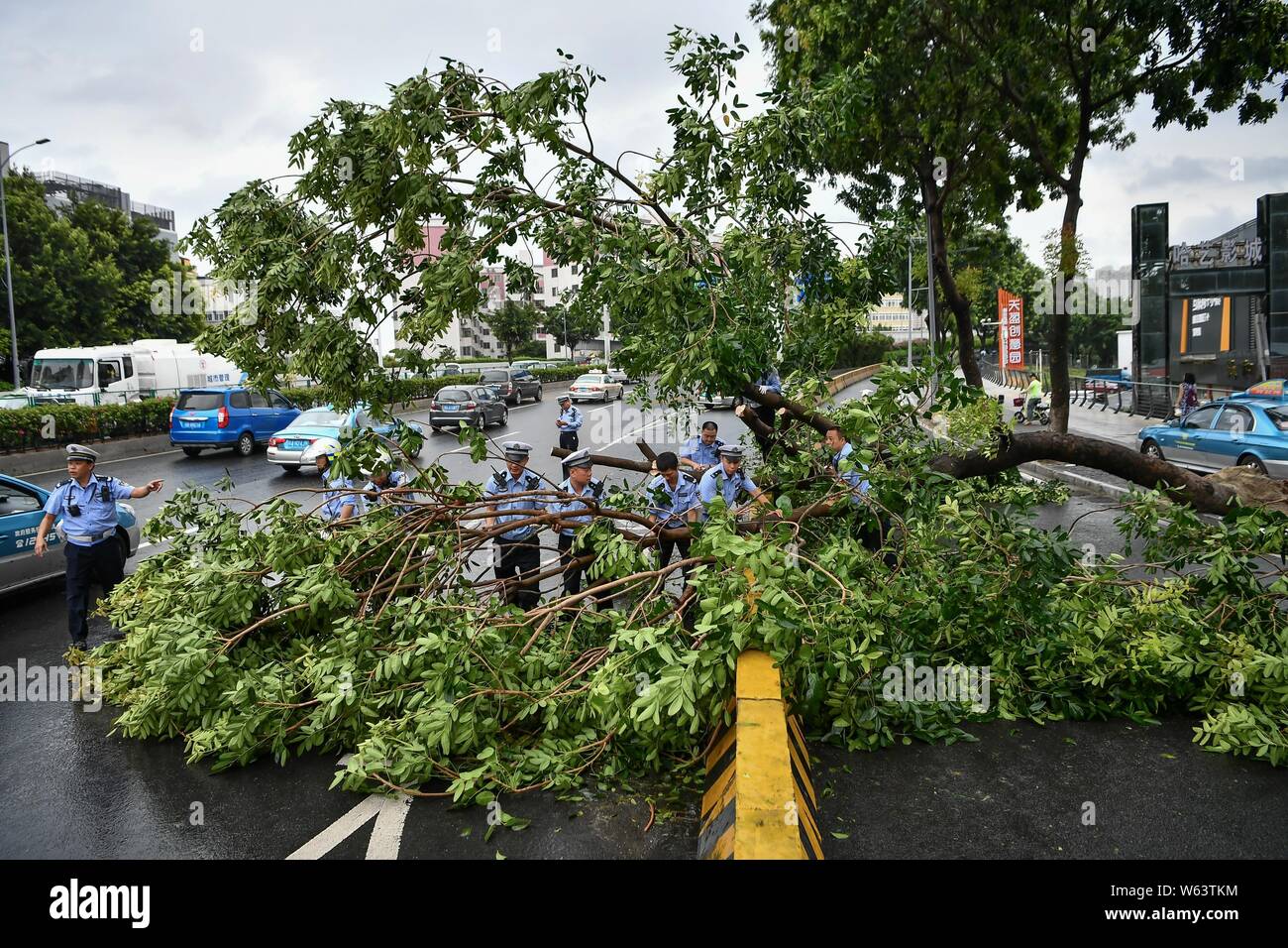 Chinese police officers clear away trees uprooted by strong wind caused ...