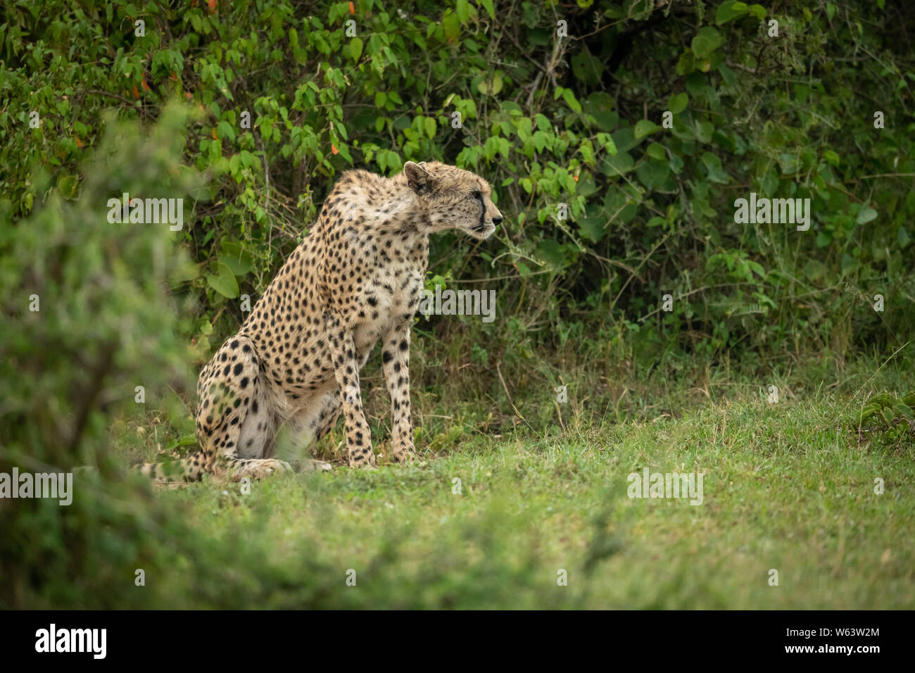 Lowering head hi-res stock photography and images - Alamy