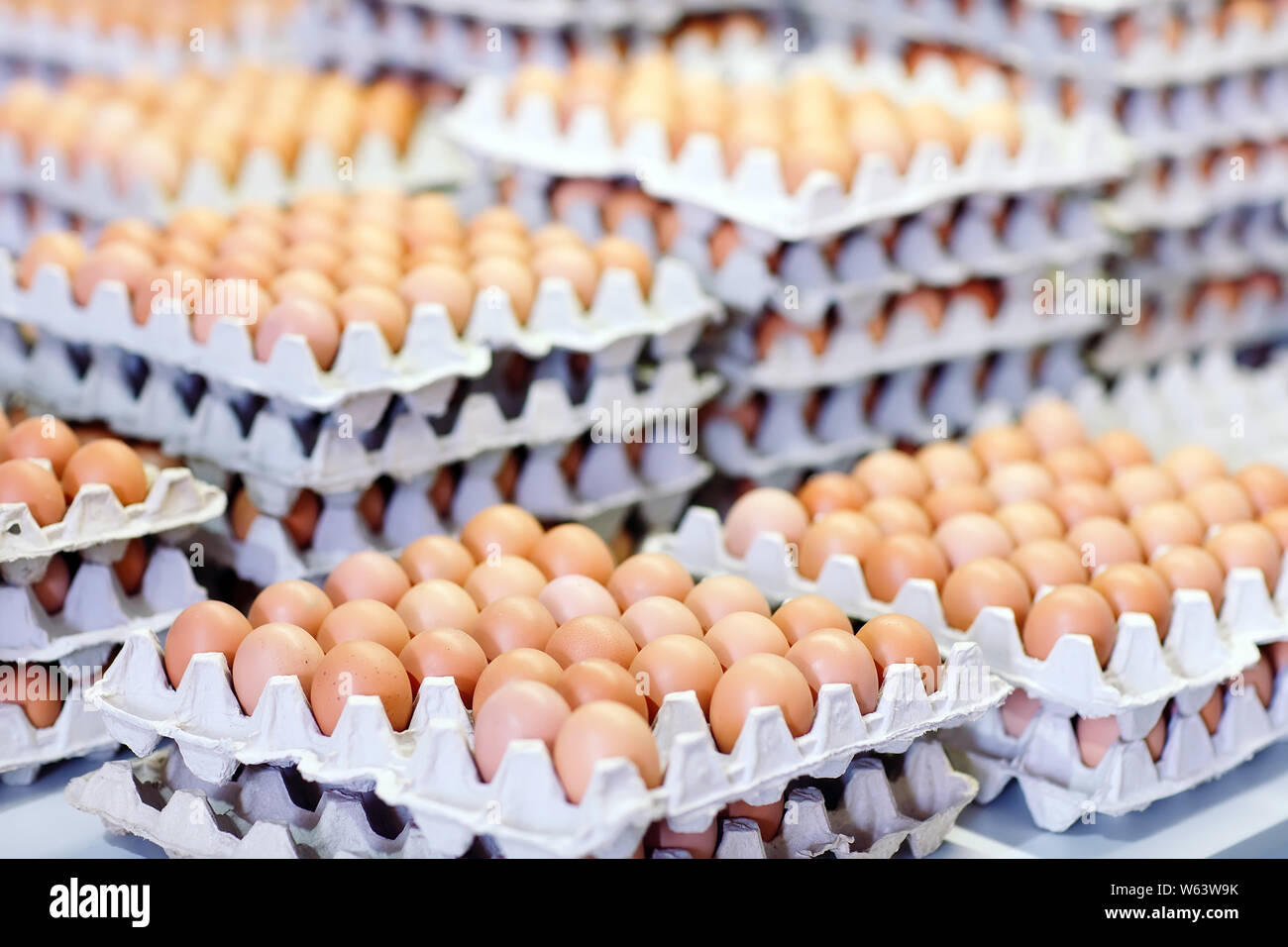 Sorting eggs boxes hi-res stock photography and images - Alamy