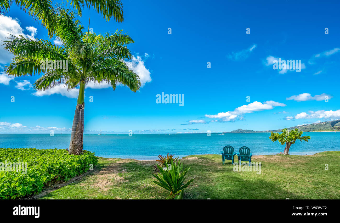 Beautiful beach setting with two empty chairs, palm tree and blue skies ...