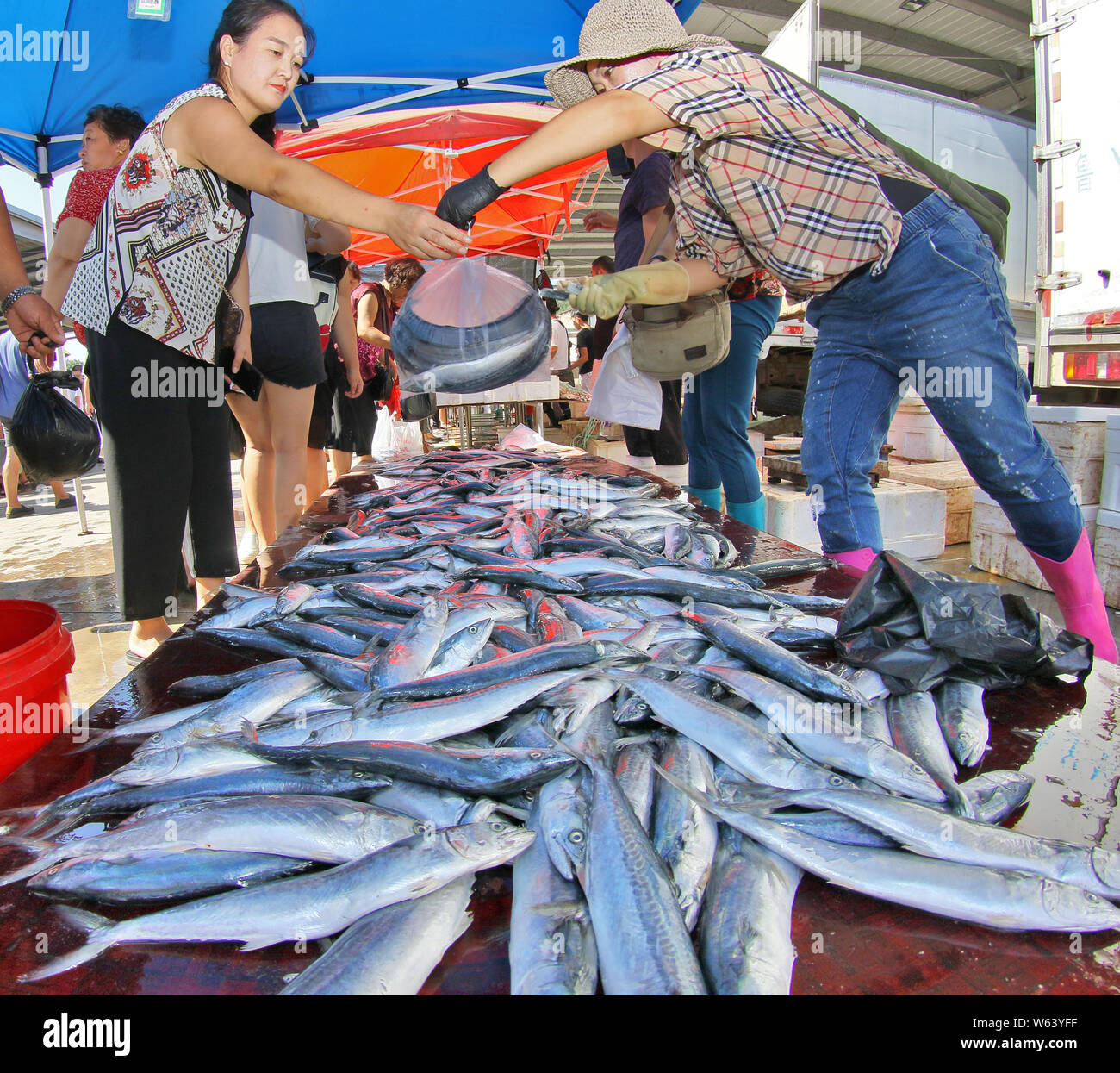 Local residents buy seafood at the Dongkou fishing port on the Zhifu ...