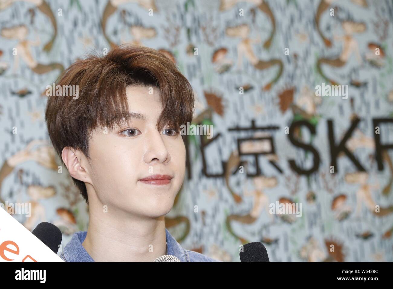 Chinese singer Fan Chengcheng, the younger brother of actress Fan ...