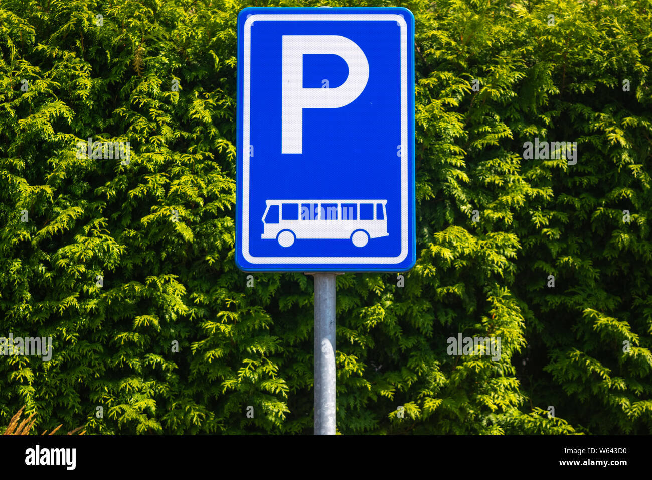 Dutch Road sign: parking only for buses, only a parking space for buses ...