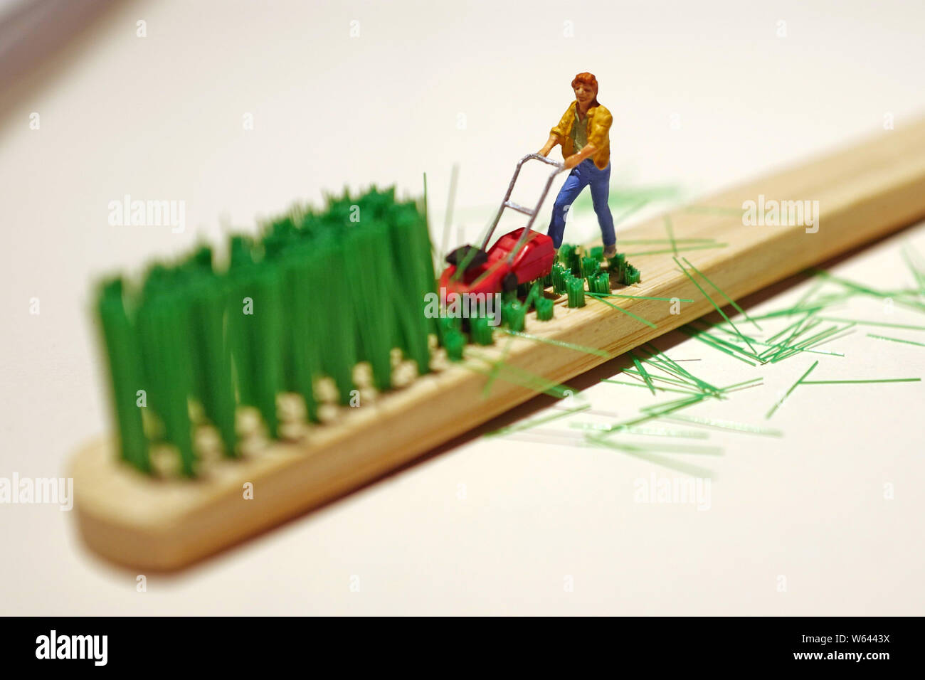 Miniature Art Photography