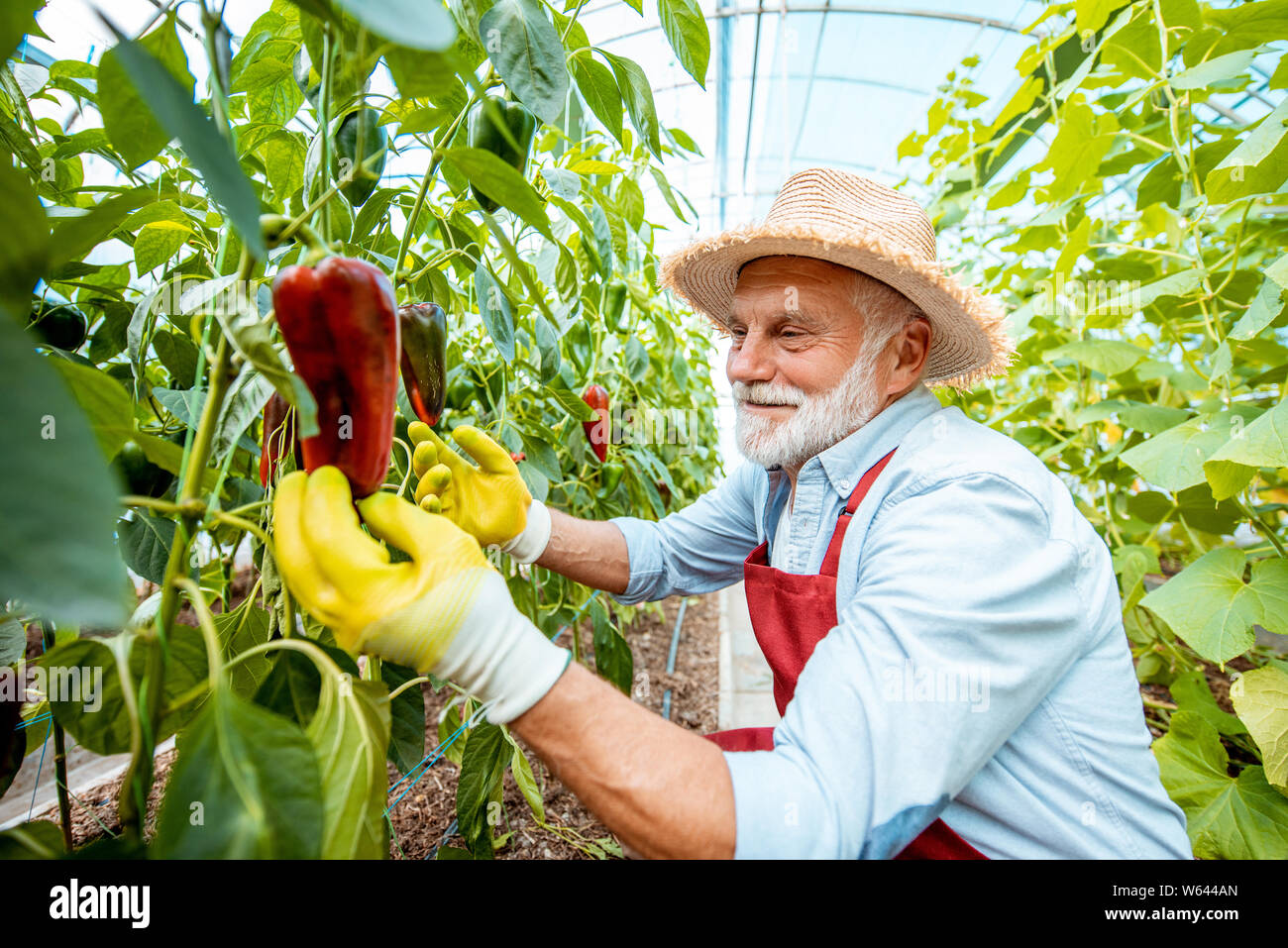 Retirement farm hi-res stock photography and images - Alamy
