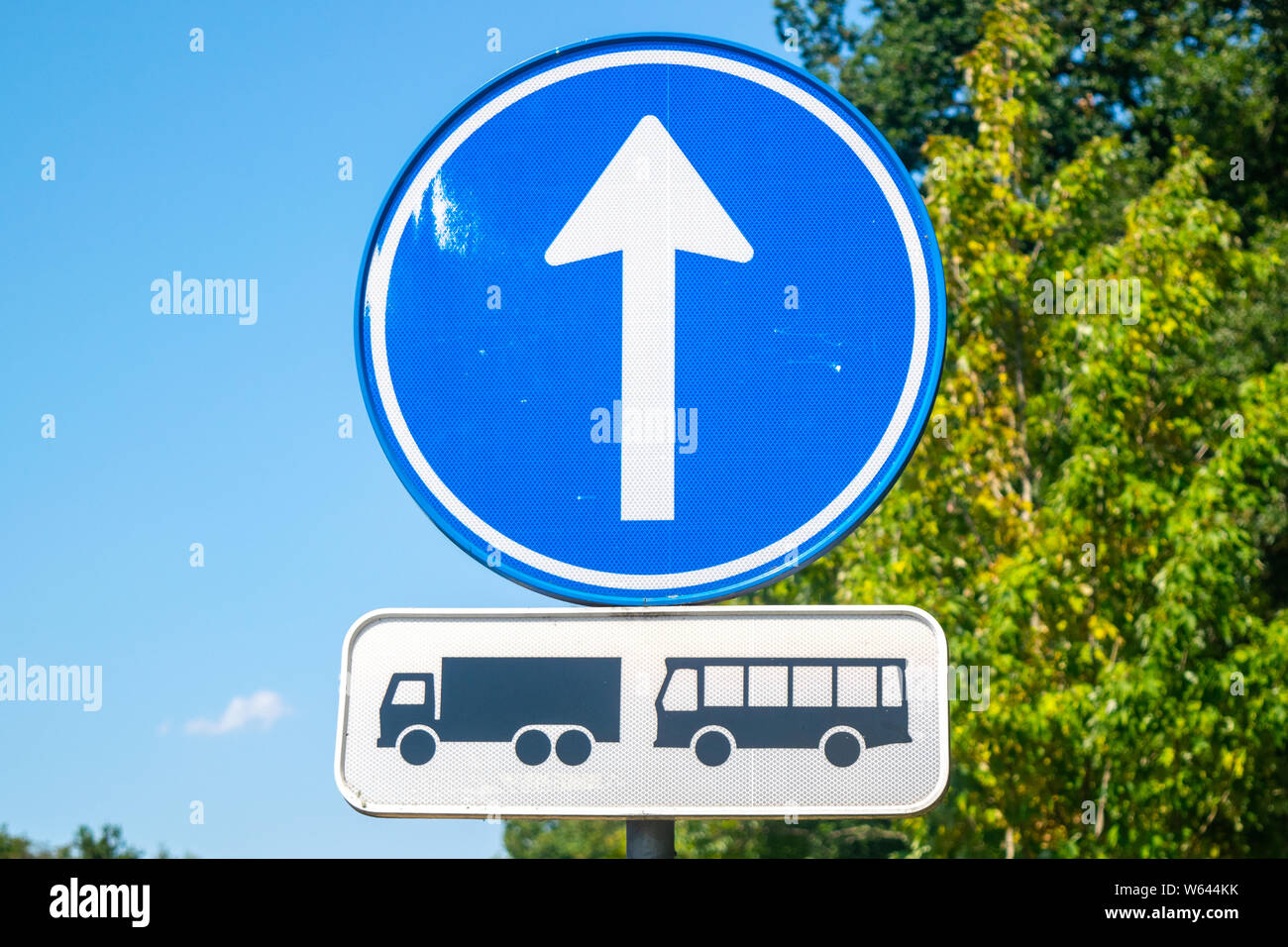 Dutch road sign: Buses and trucks are required to drive straight on ...