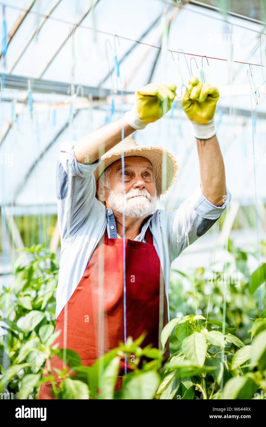 Tying garter hi-res stock photography and images - Alamy