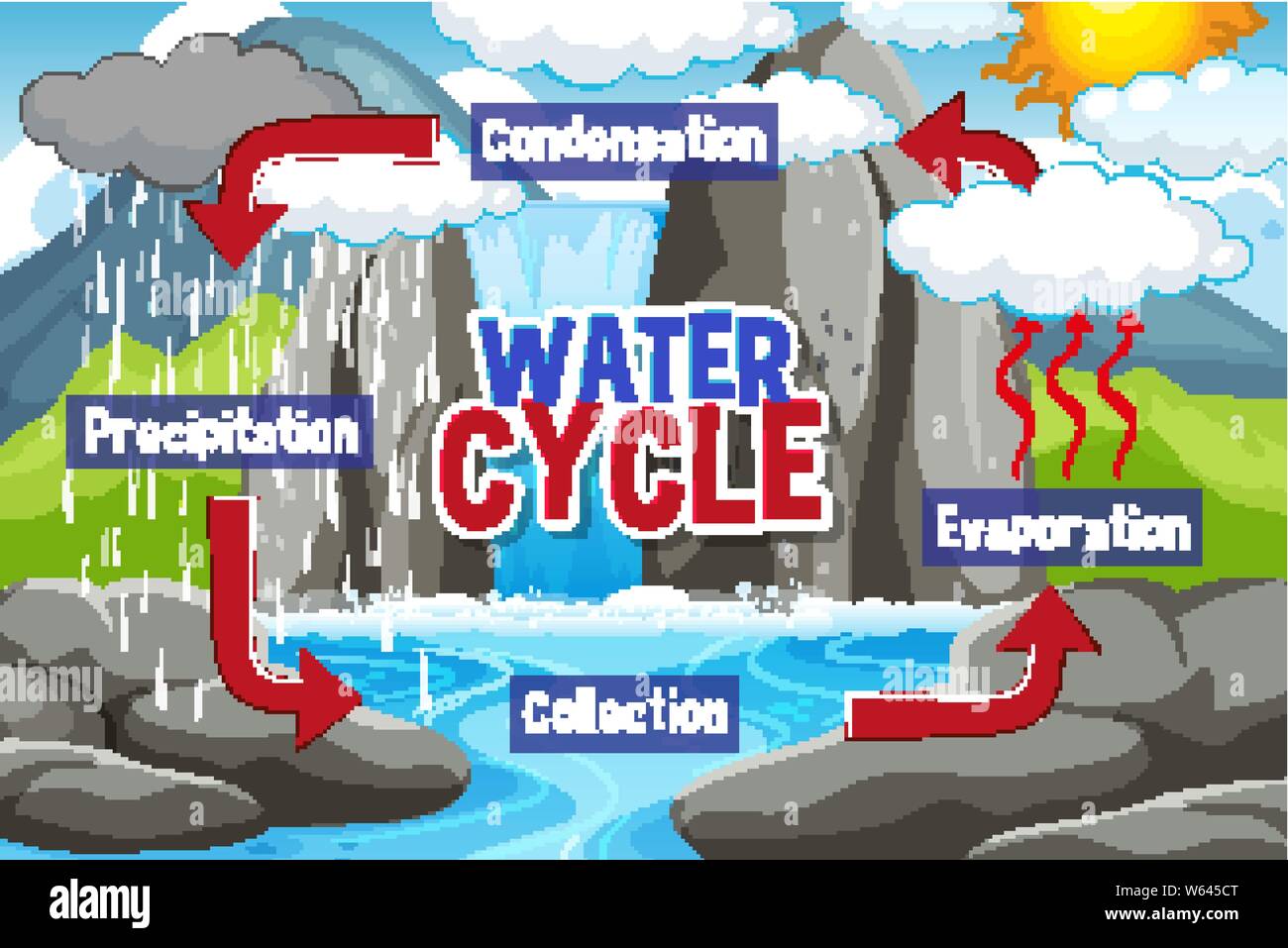 Water cycle process on Earth - Scientific illustration Stock Vector ...