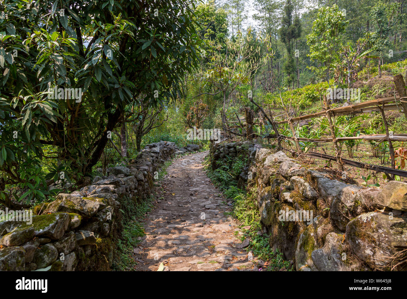 Kanchenjunga national park hi-res stock photography and images - Alamy