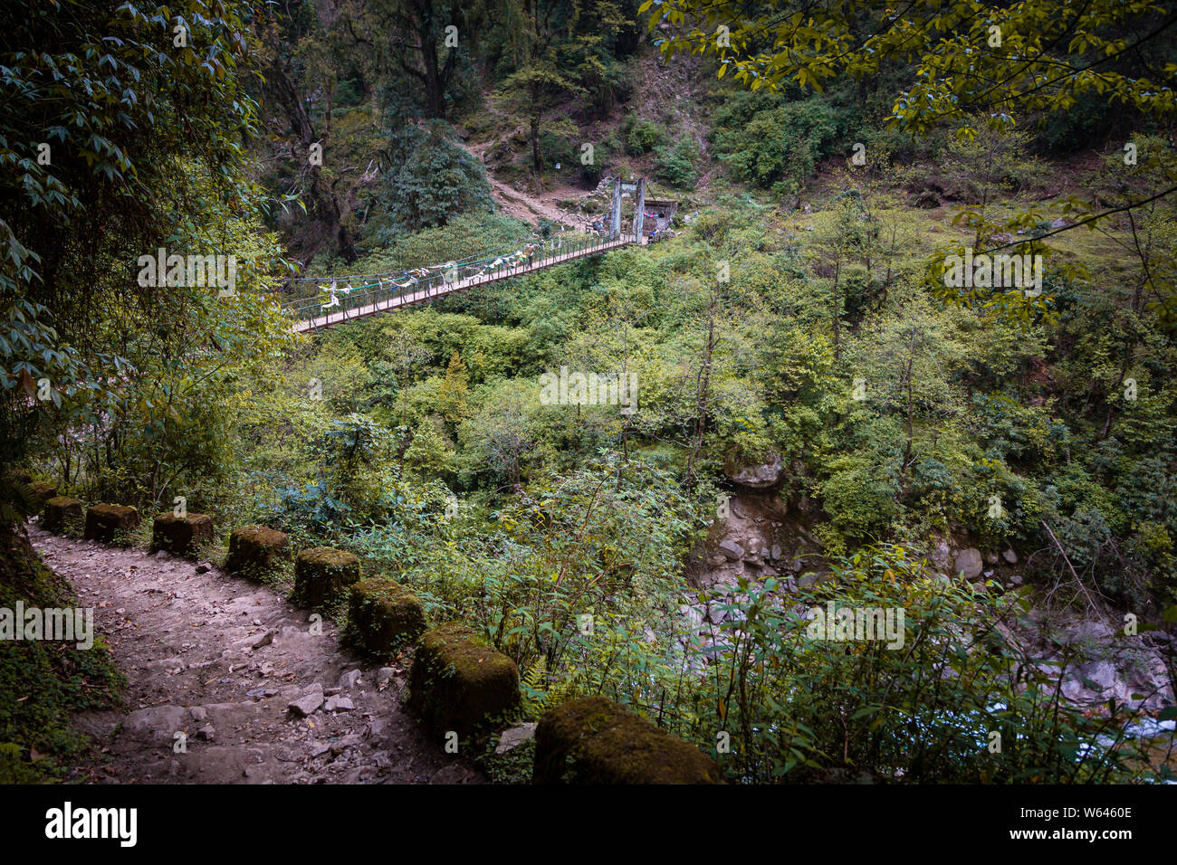 A bridge on the Gochela trekking trail to the Kanchenjunga mountain in ...