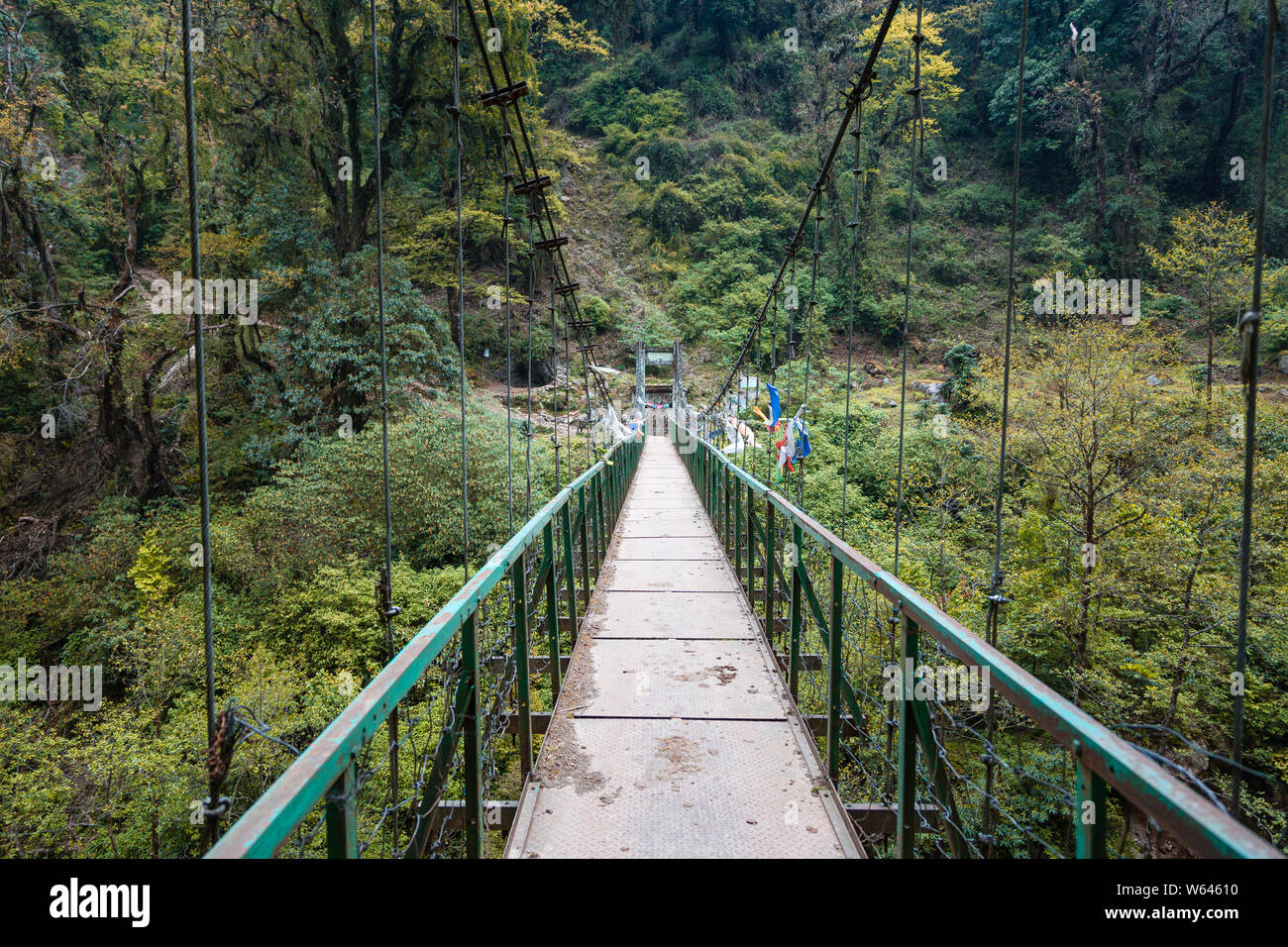 A bridge on the Gochela trekking trail to the Kanchenjunga mountain in ...