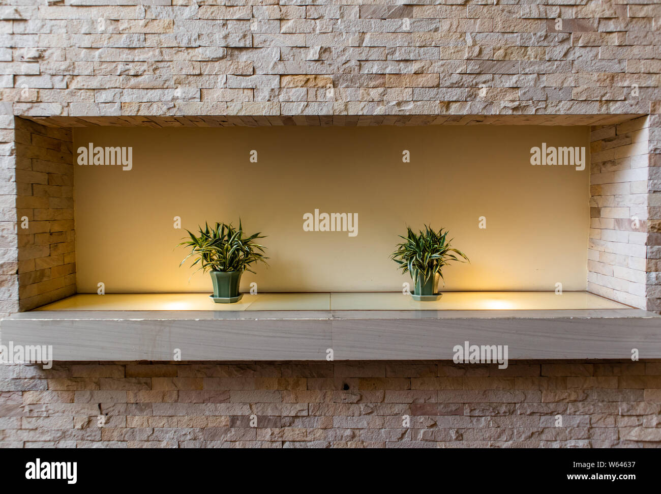 Wall cladding stone With the middle box of a square To place trees ...