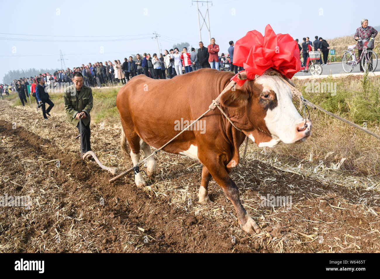 Chinese peasant plow hi-res stock photography and images - Alamy