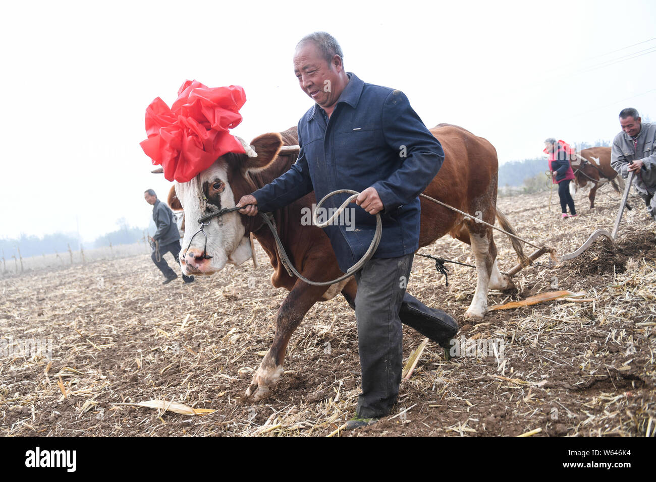 Chinese peasant plow hi-res stock photography and images - Alamy