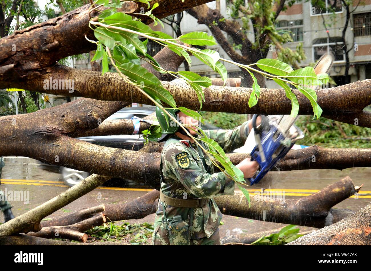 A Guangdong armed police removes tree branches broken by strong wind ...