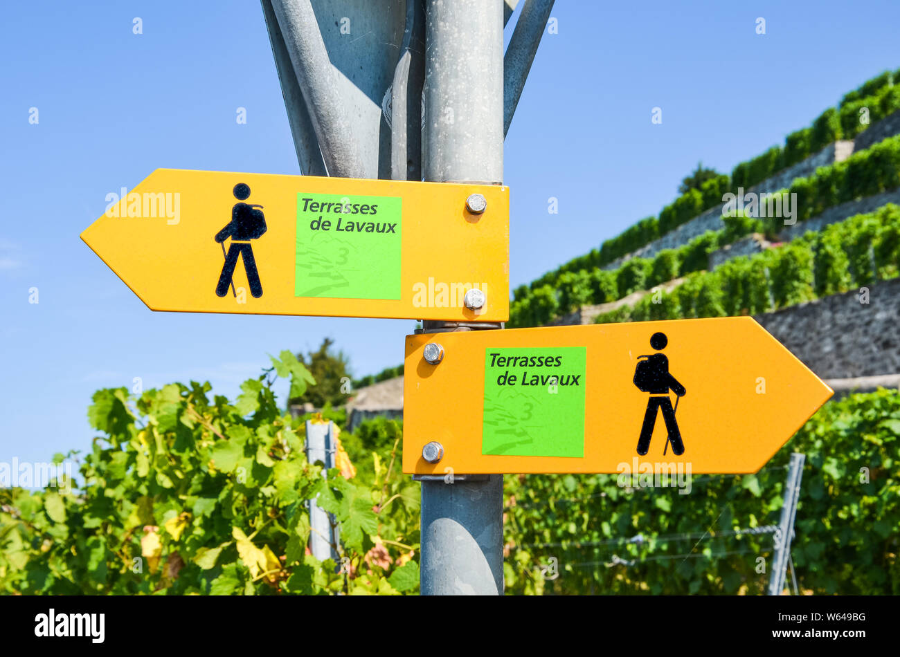 Vineyard trail sign hi-res stock photography and images - Alamy