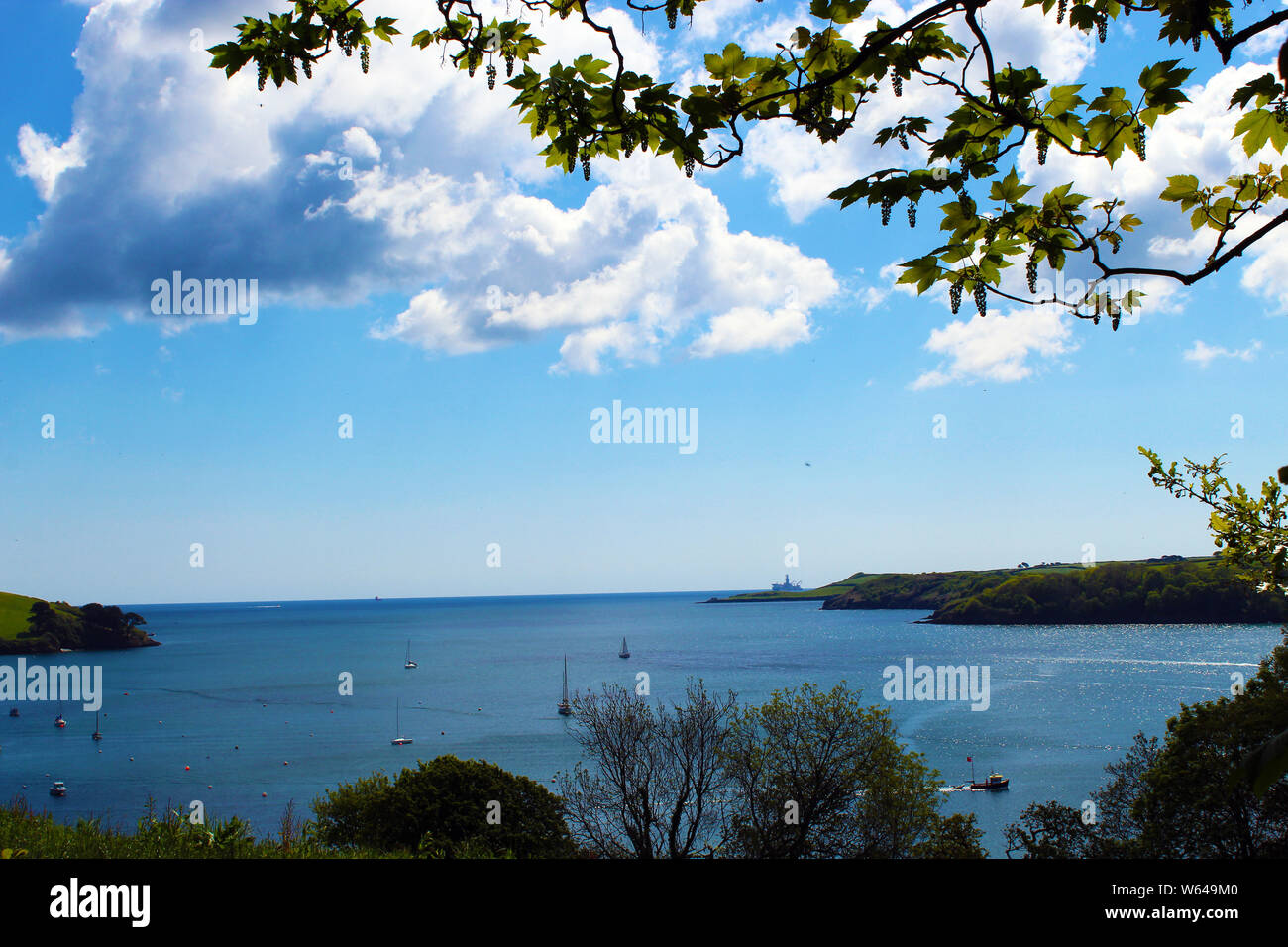 View over sea with trees Stock Photo - Alamy
