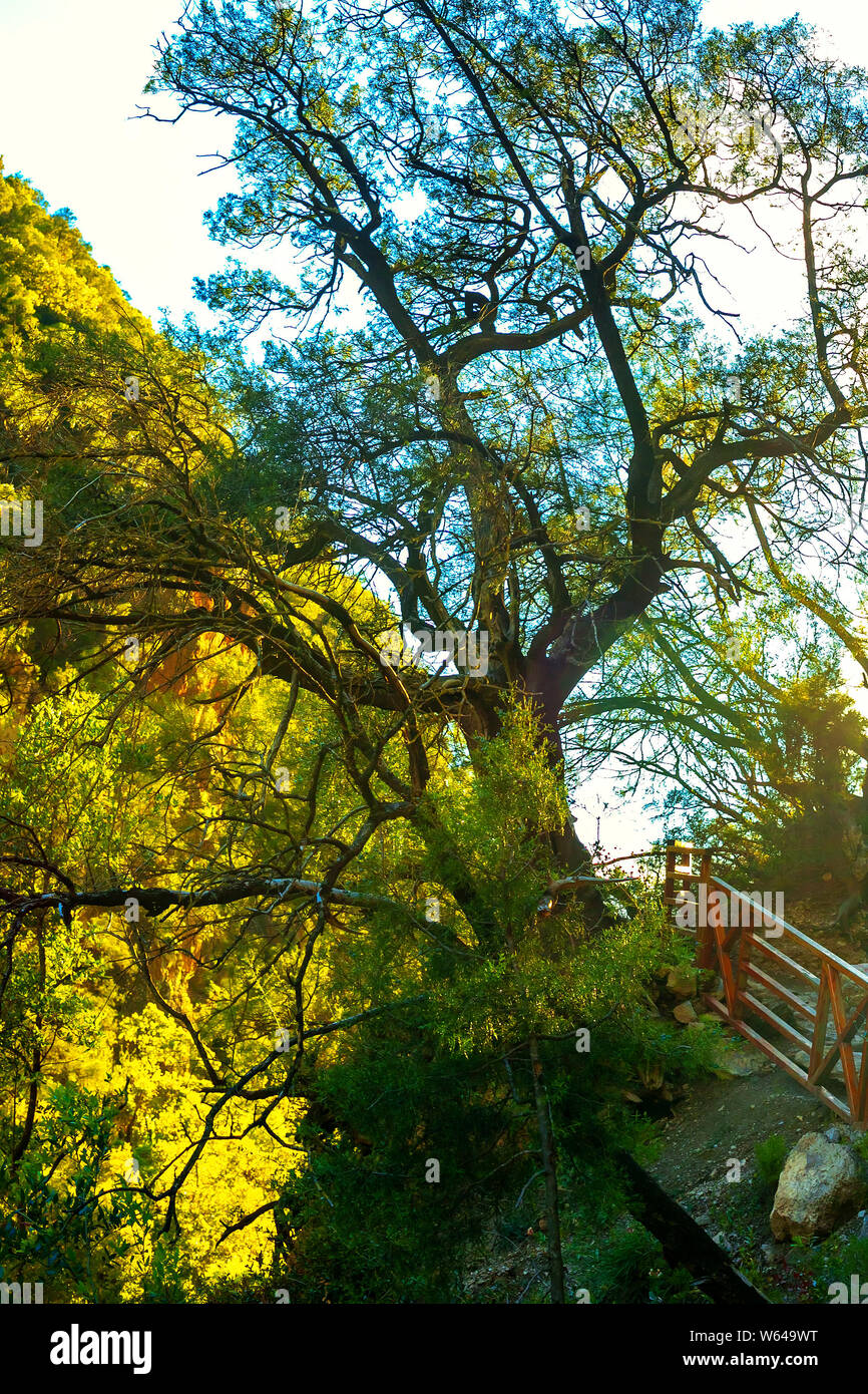 Nice sunset over the mountain landscape in Morocco. On the image there ...