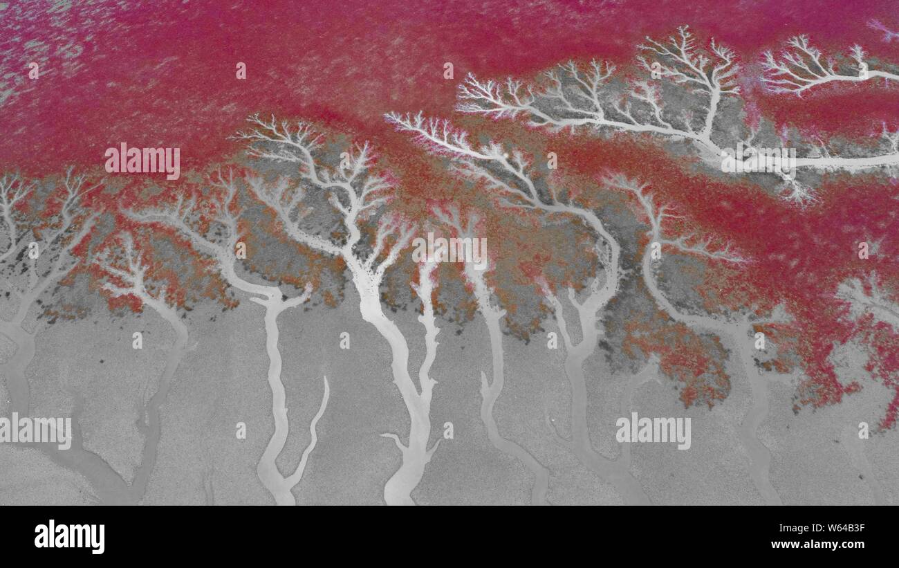 Aerial view of the Red Beach or Liaohekou Honghaitan National Marine ...