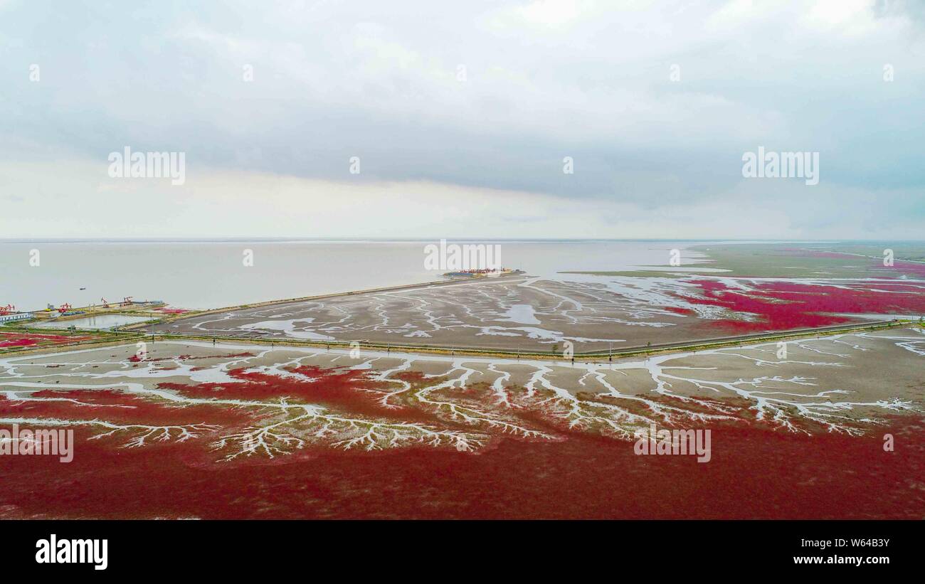 China panjin red beach hi-res stock photography and images - Alamy